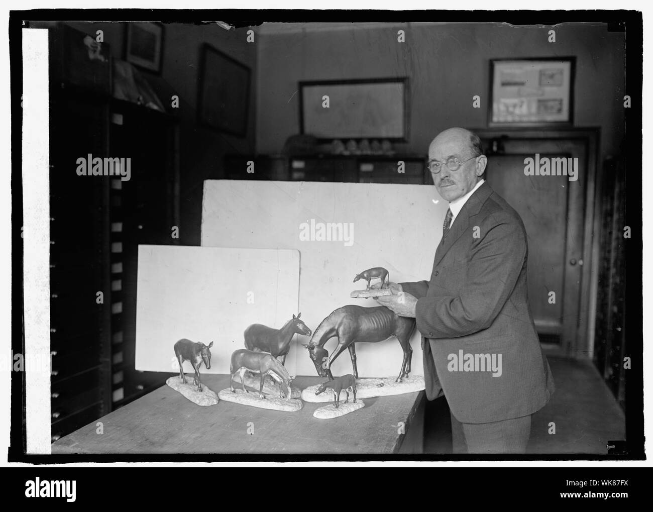 Evolution des pferdes -Fotos und -Bildmaterial in hoher Auflösung – Alamy