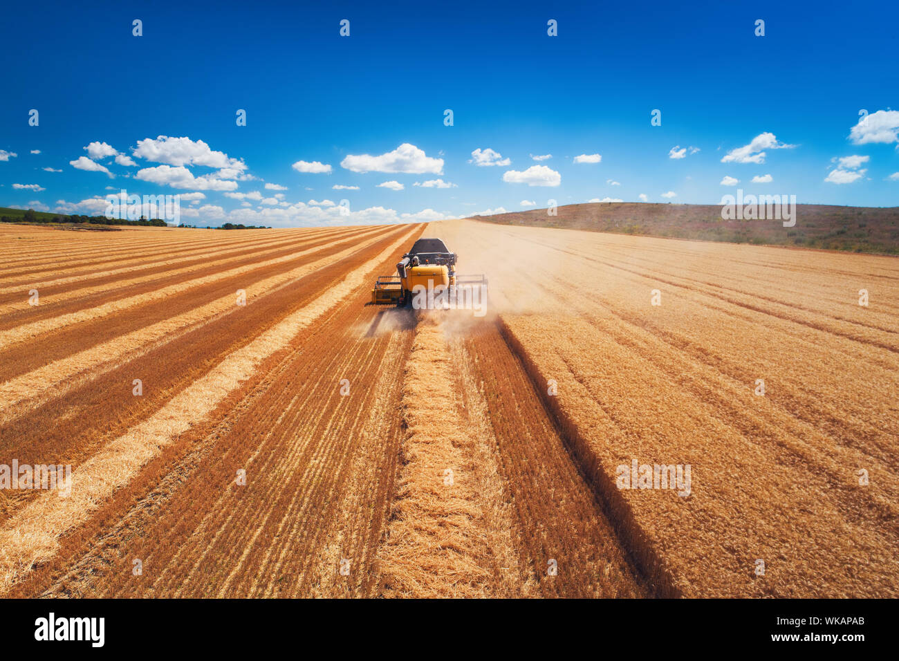 Kombinieren Sie Mähdrescher Landwirtschaftsmaschine Ernte goldenen reif ...
