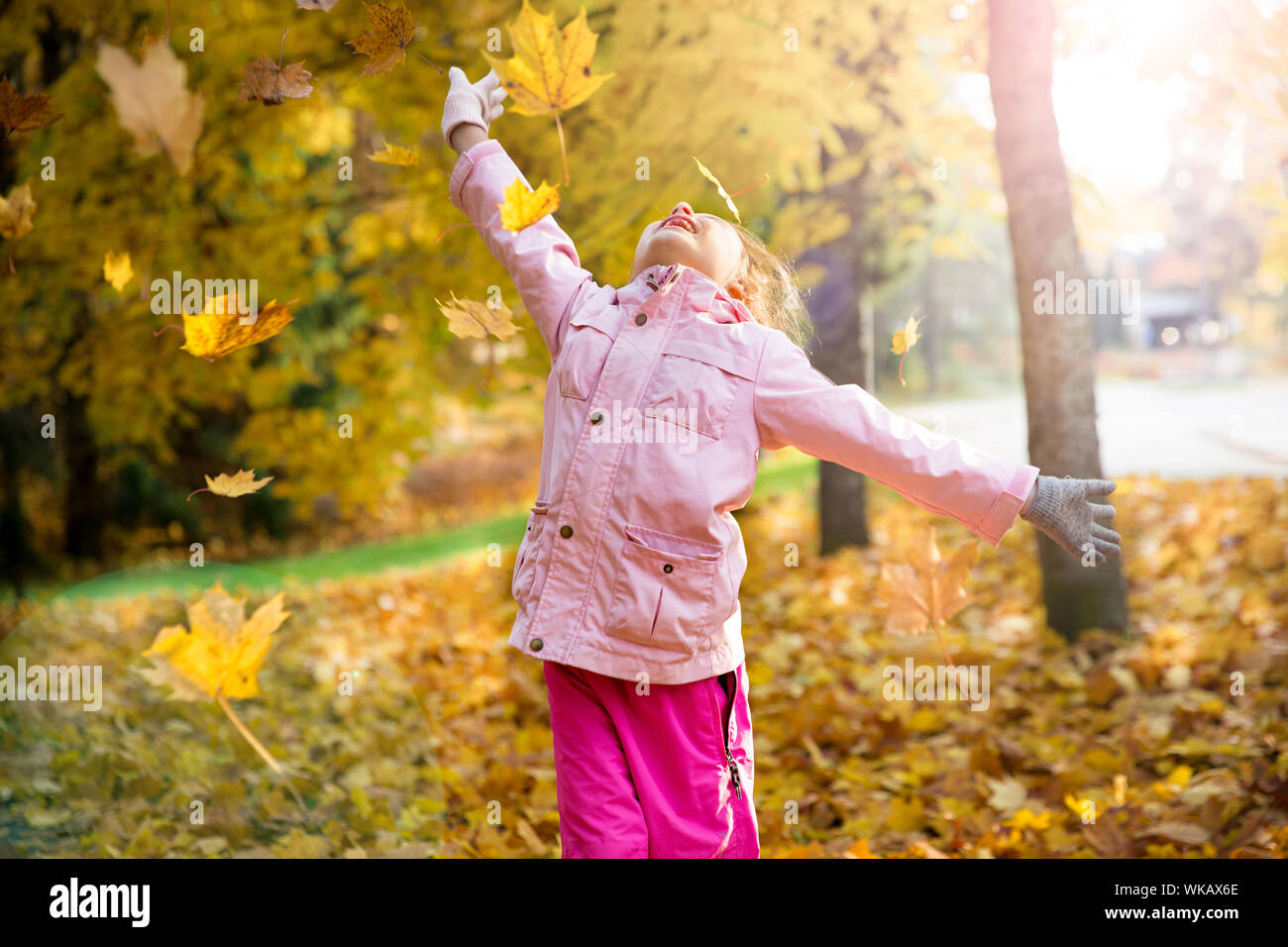Gelbe Luft Stockfotos und -bilder Kaufen - Alamy