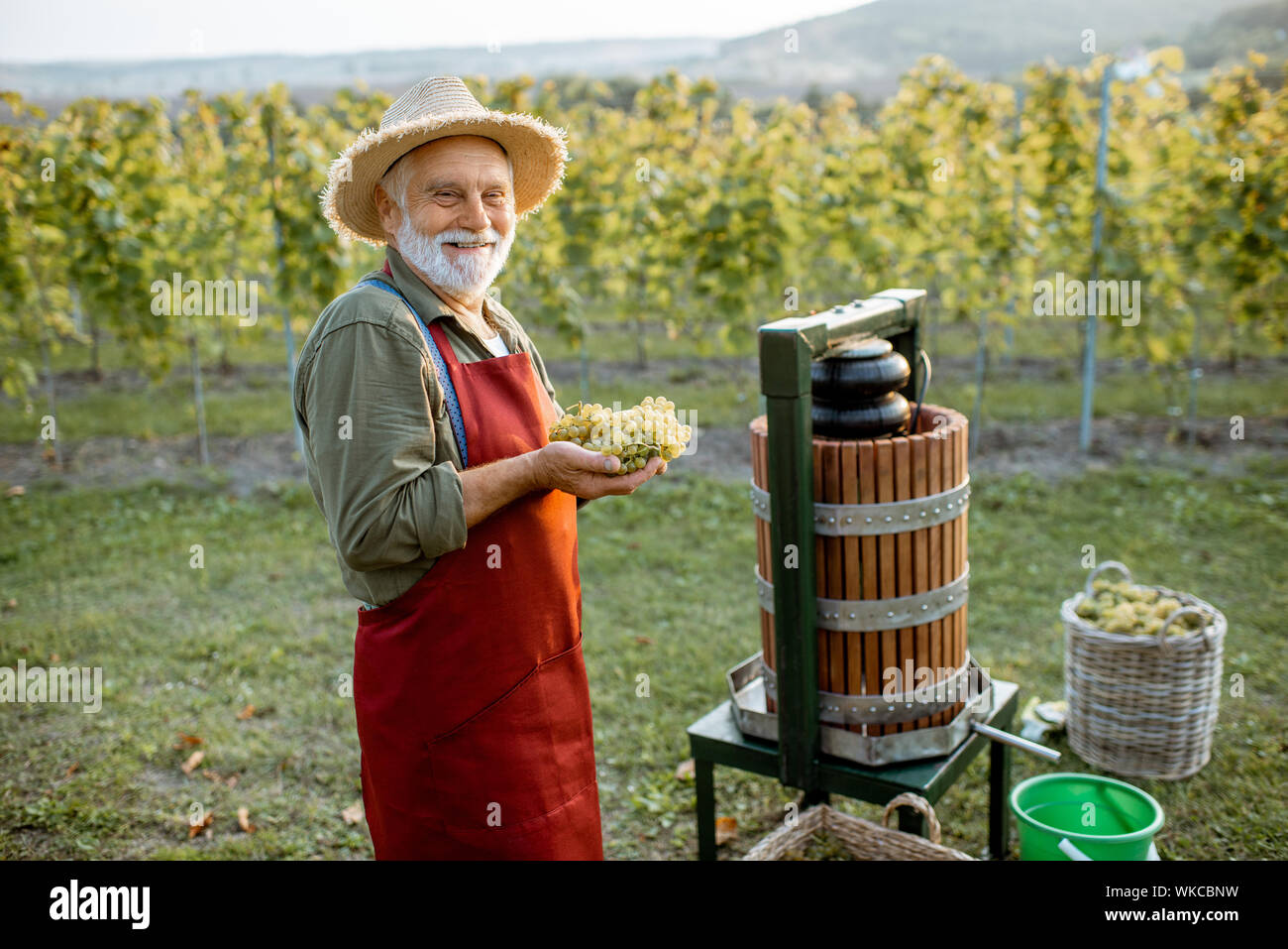 Maschine zum pressen und herstellen von wein -Fotos und -Bildmaterial ...