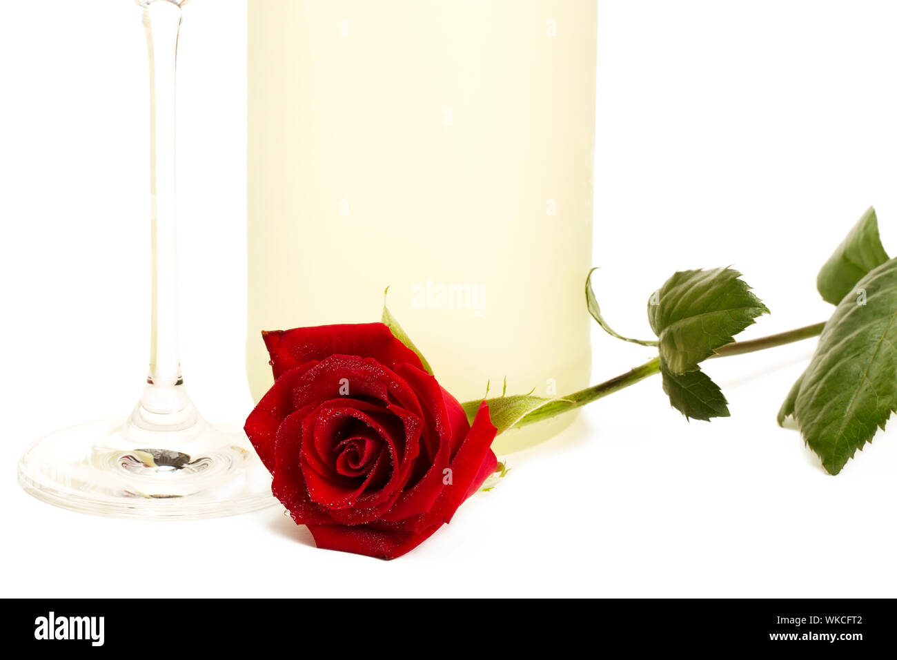 nasse rote rose vor einem stumpfen prosecco Flasche und am Ende ein ...