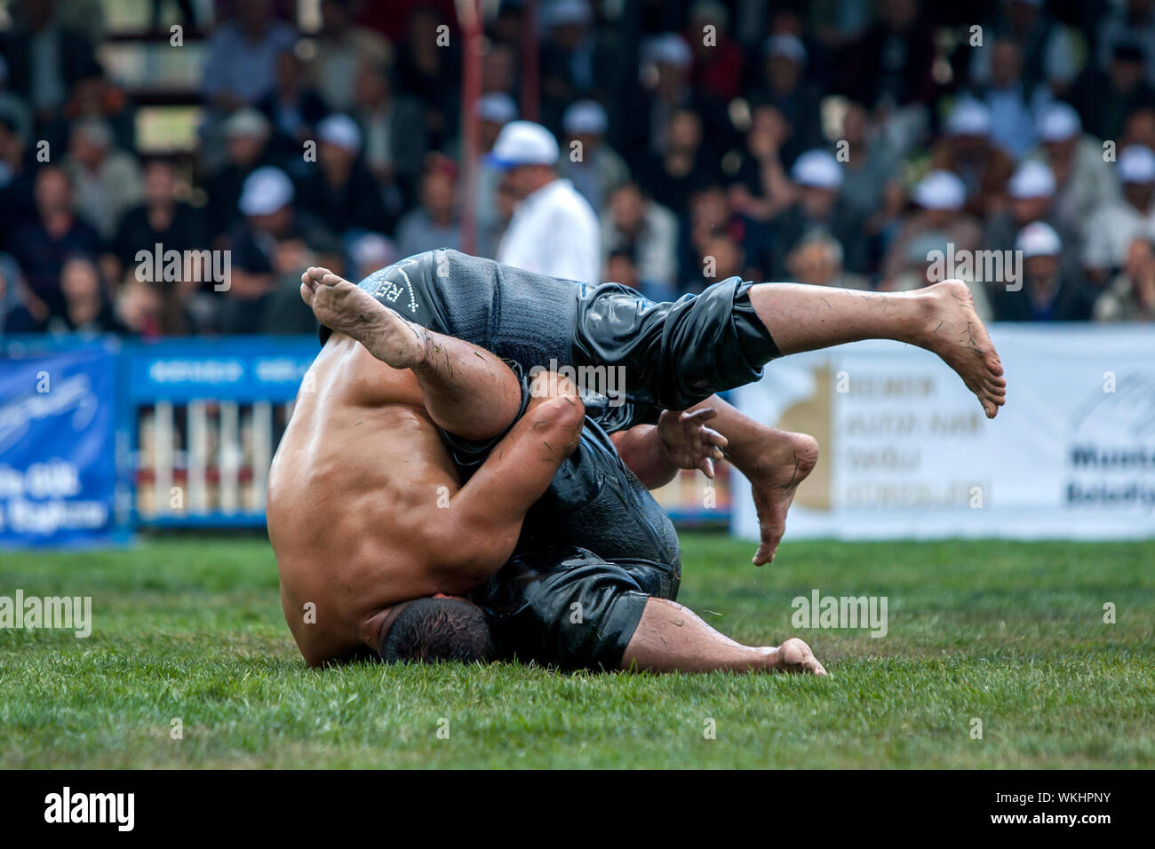 Turkish wrestlers -Fotos und -Bildmaterial in hoher Auflösung – Alamy