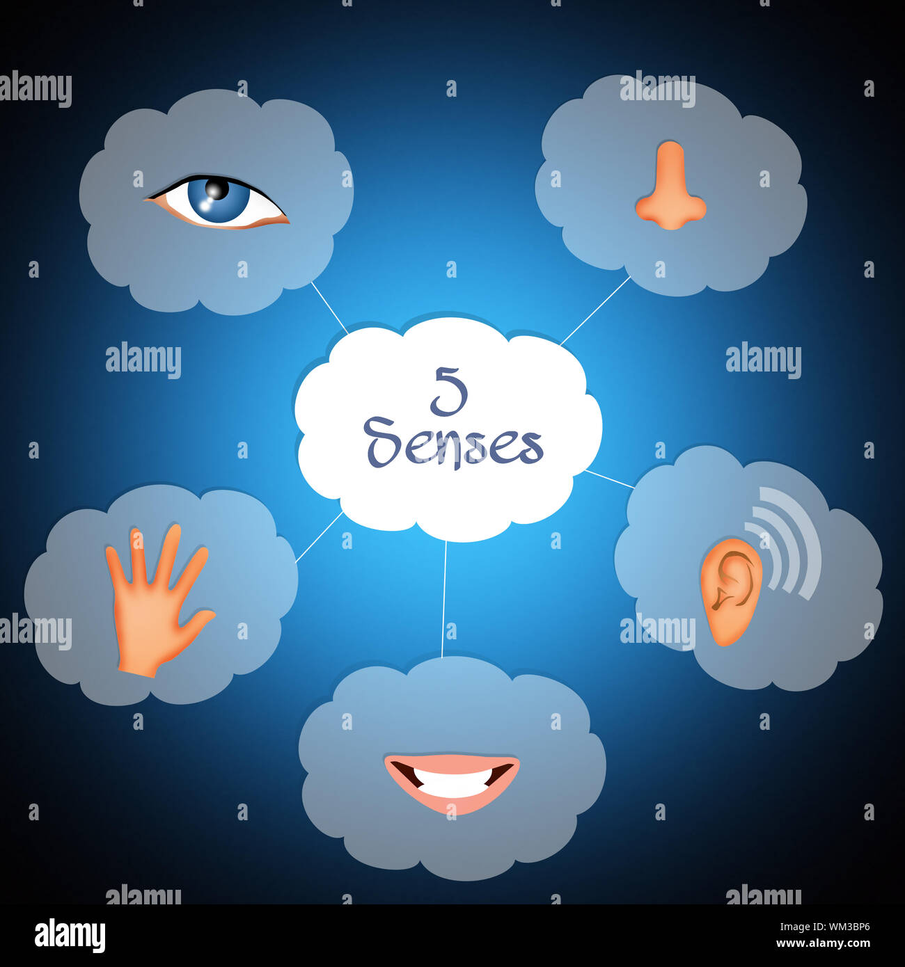 Five Senses Illustration Stockfotos und -bilder Kaufen - Alamy