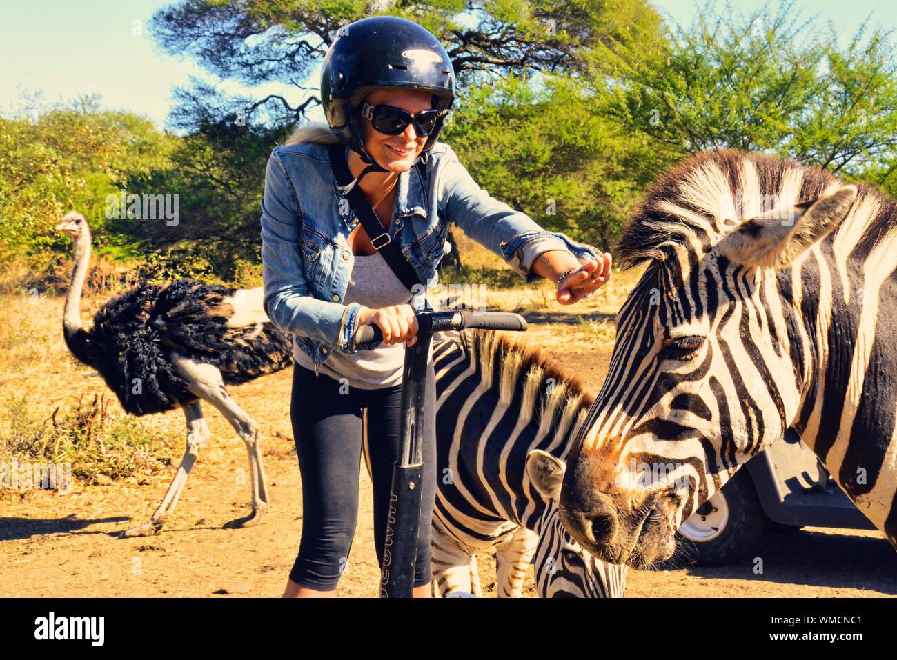 Woman riding ostrich -Fotos und -Bildmaterial in hoher Auflösung – Alamy