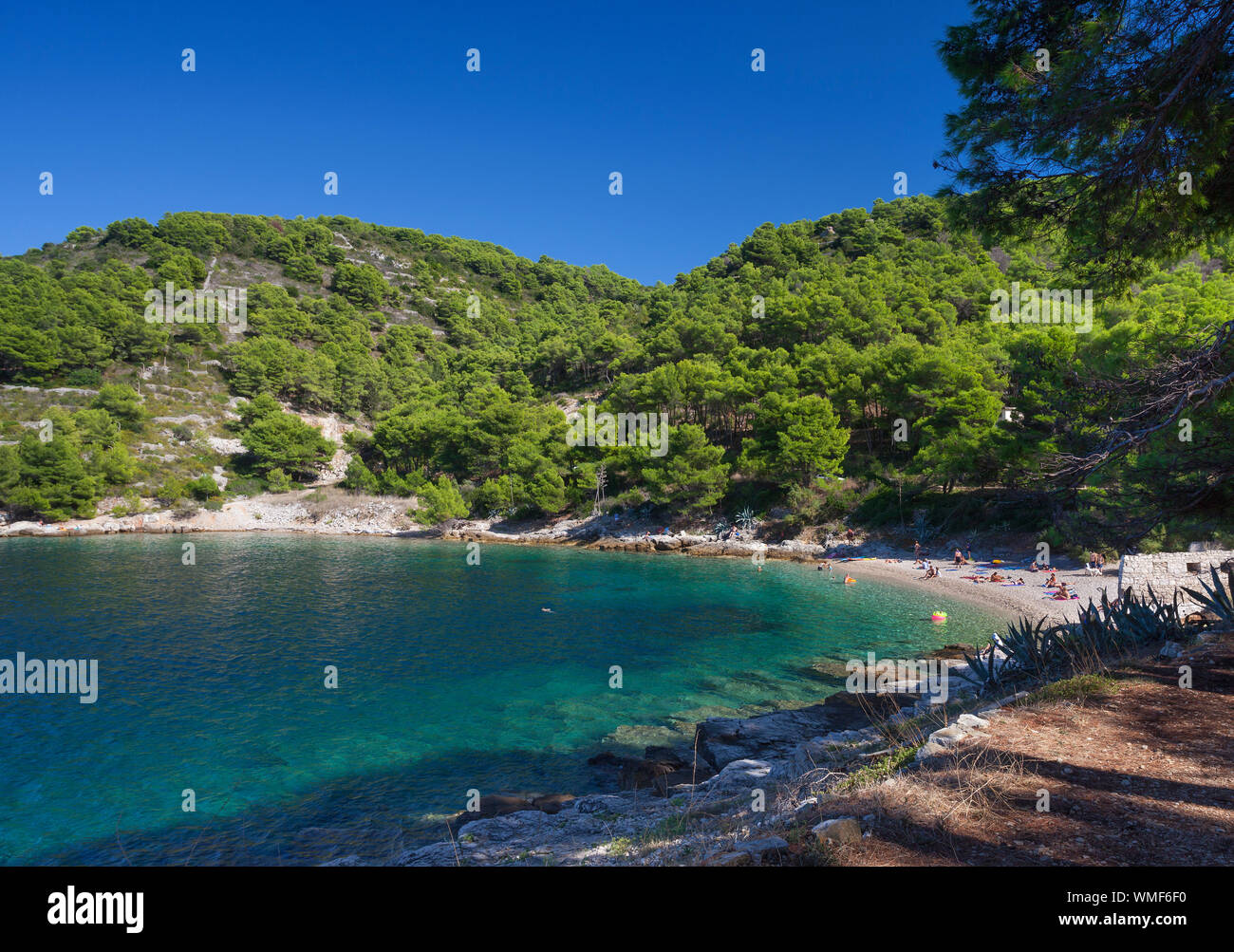 Strand vis -Fotos und -Bildmaterial in hoher Auflösung – Alamy