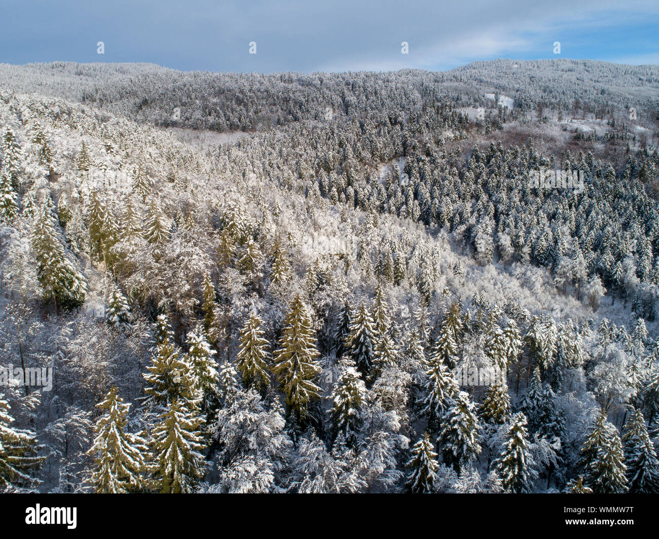 Arzier le muids -Fotos und -Bildmaterial in hoher Auflösung – Alamy