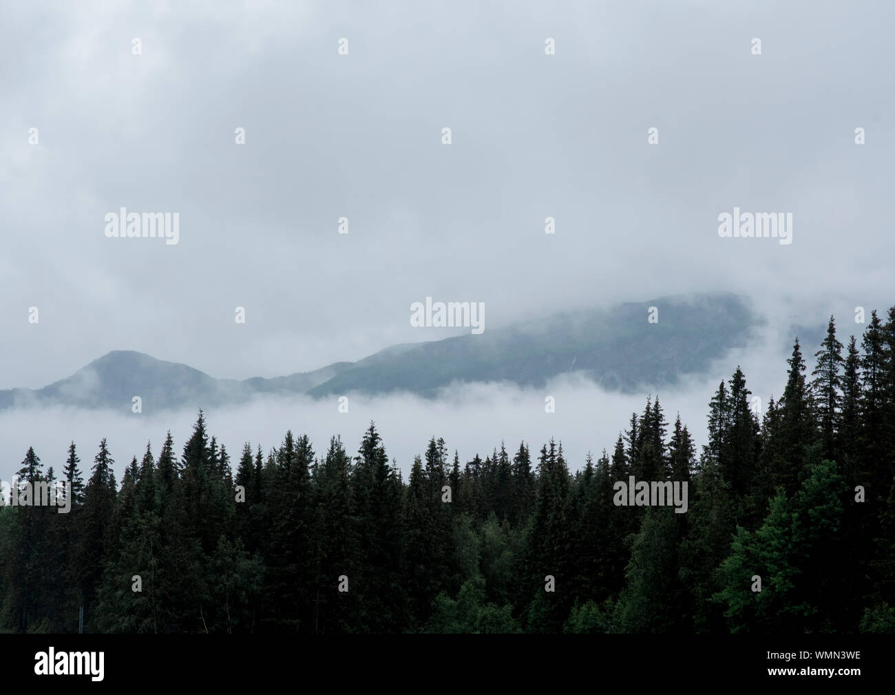 Nordischer nebel -Fotos und -Bildmaterial in hoher Auflösung – Alamy