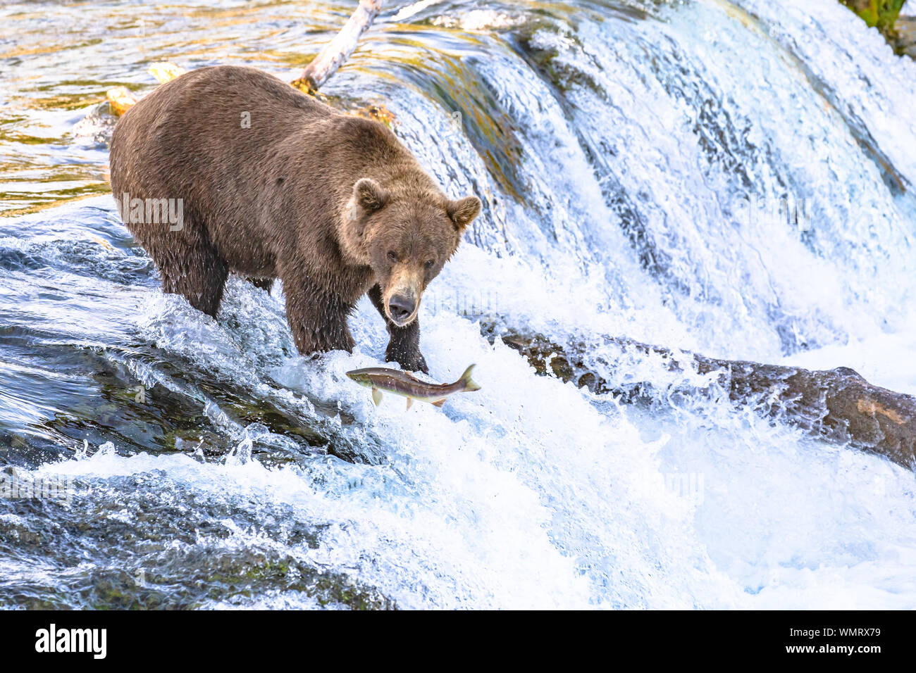 Alaska Angeln Stockfotos und -bilder Kaufen - Alamy