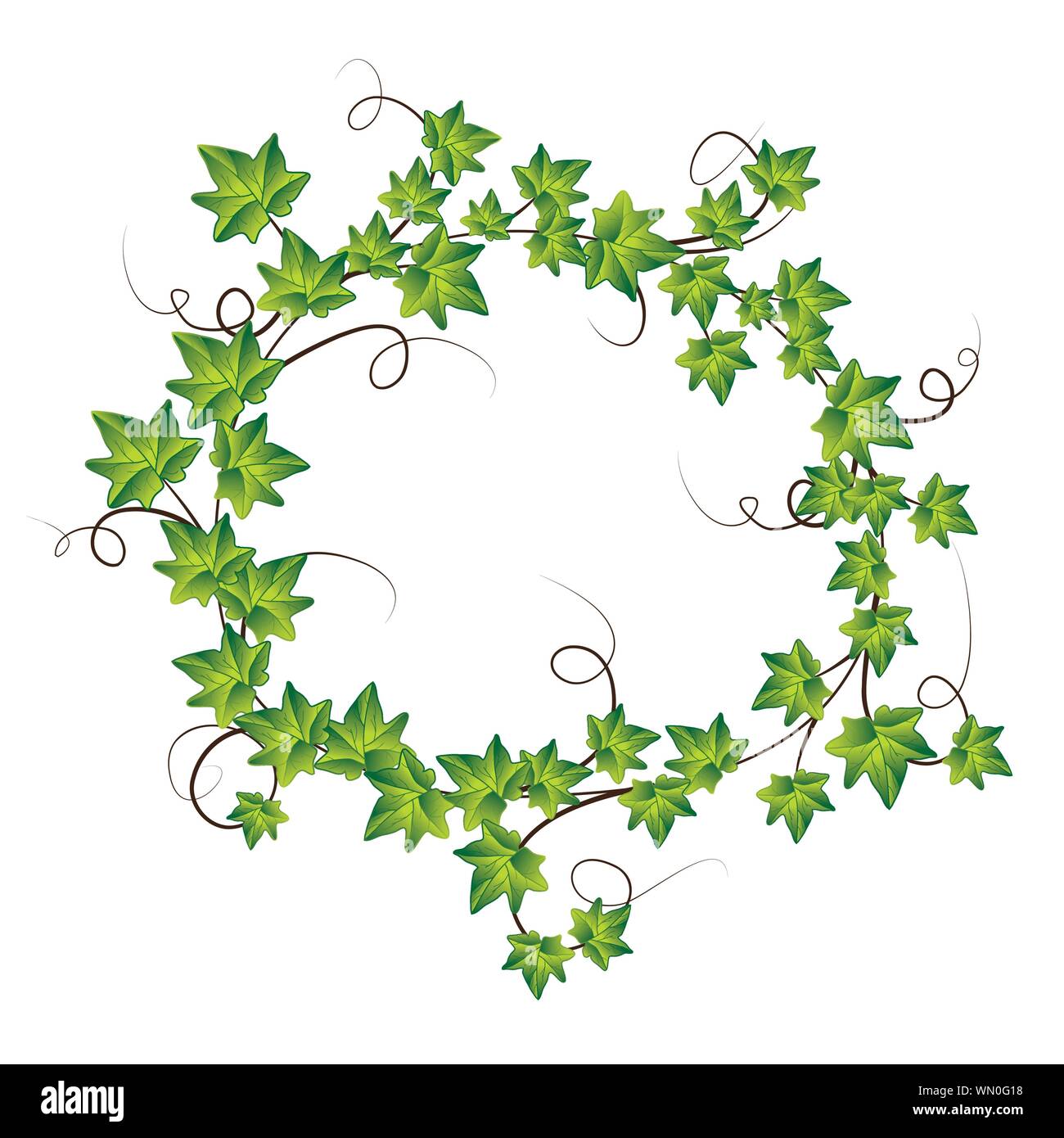 Botanische illustration efeu -Fotos und -Bildmaterial in hoher ...