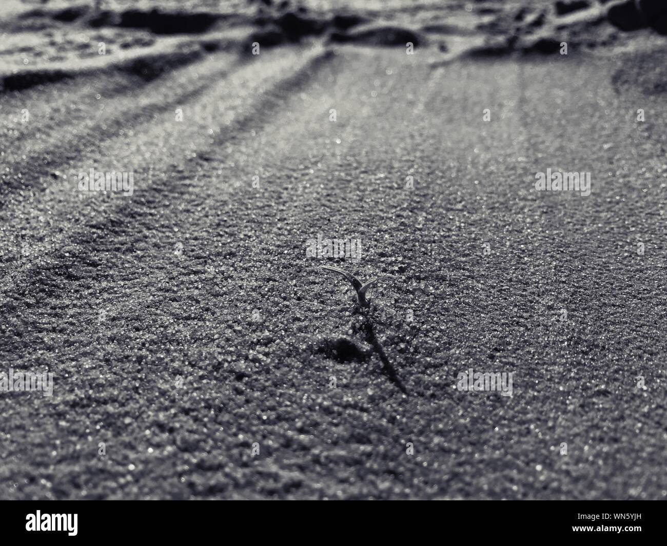 Sandy floor -Fotos und -Bildmaterial in hoher Auflösung – Alamy