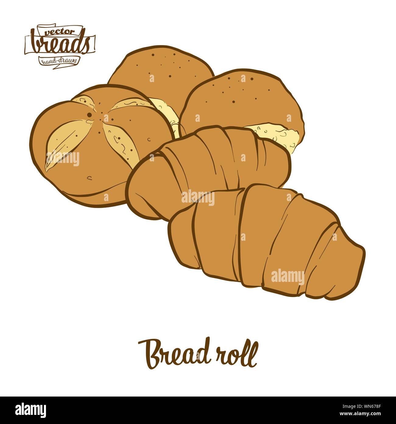 Farbige Zeichnung von Brötchen und Brot. Vector Illustration von ...