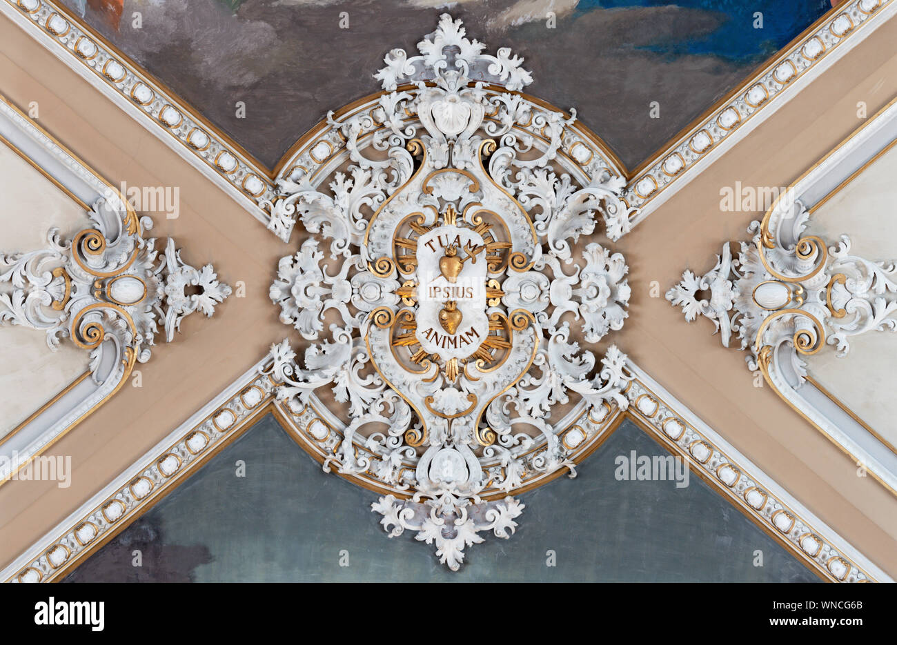 Barock stuck -Fotos und -Bildmaterial in hoher Auflösung – Alamy