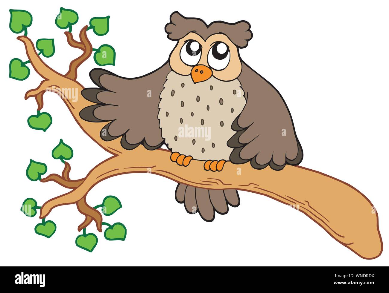 Blick der eule Ausgeschnittene Stockfotos und -bilder - Alamy