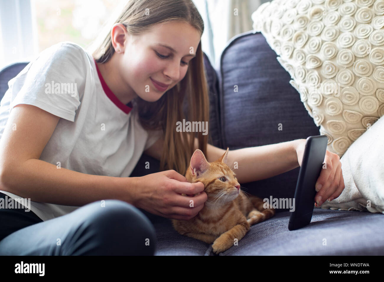 Teenager Mädchen Auf Dem Sofa Mit Handy Stockfotos und -bilder Kaufen ...
