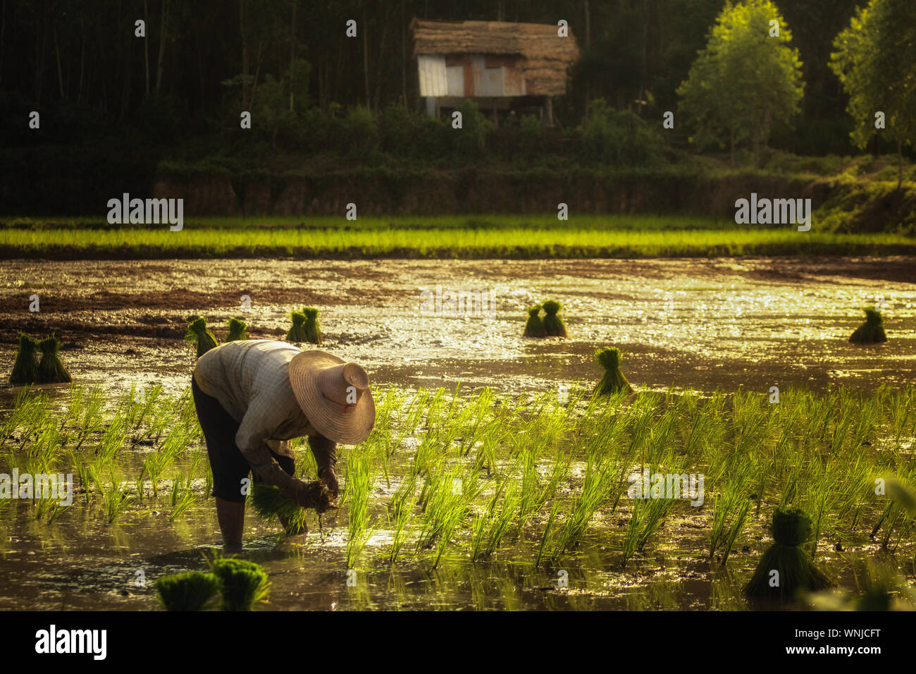 Bauern bei der arbeit -Fotos und -Bildmaterial in hoher Auflösung – Alamy