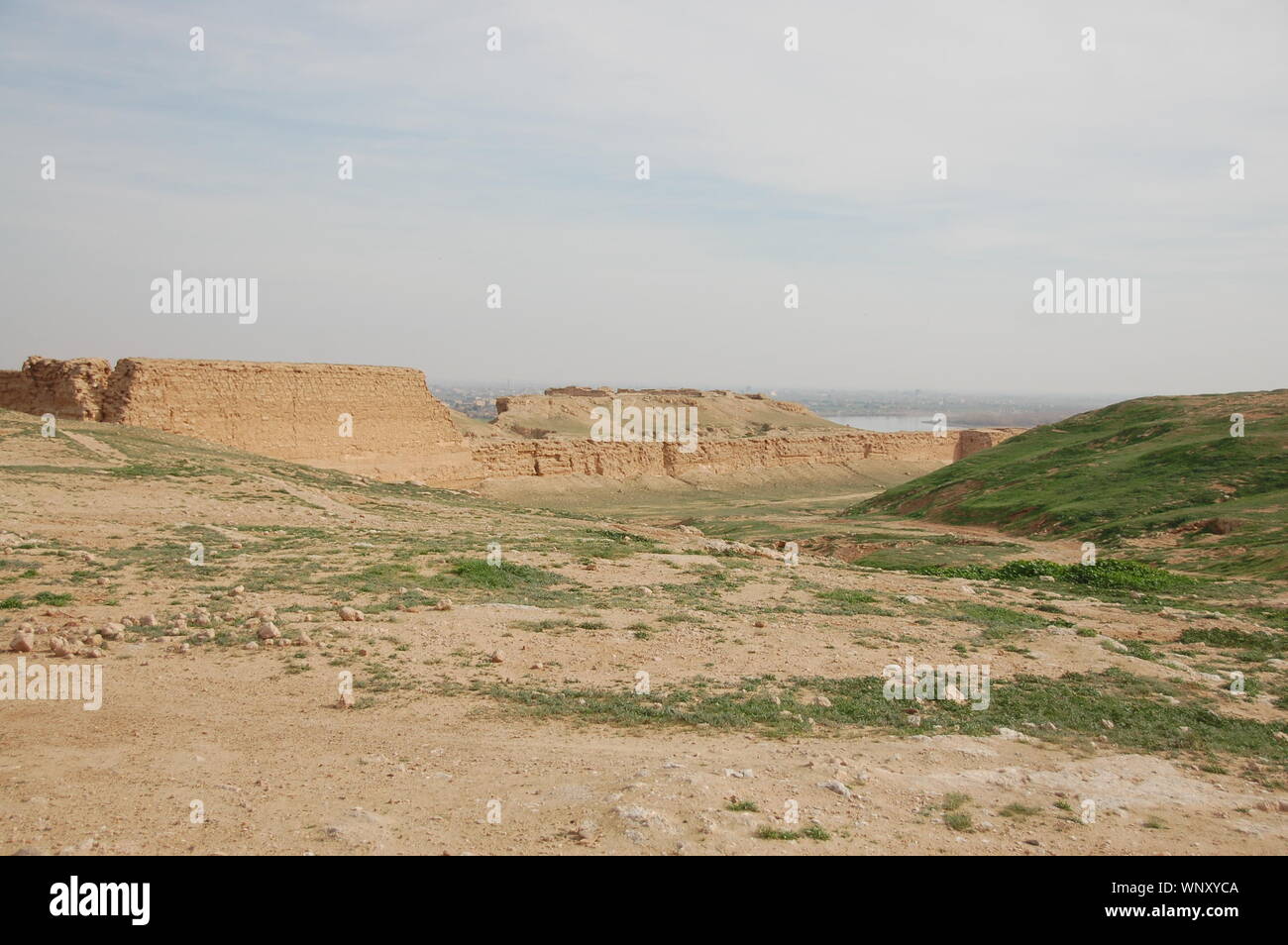 Euphrat field -Fotos und -Bildmaterial in hoher Auflösung – Alamy
