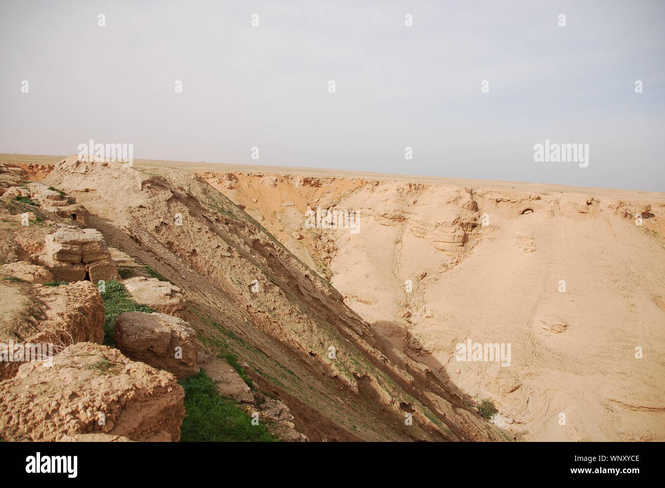 Euphrat field -Fotos und -Bildmaterial in hoher Auflösung – Alamy