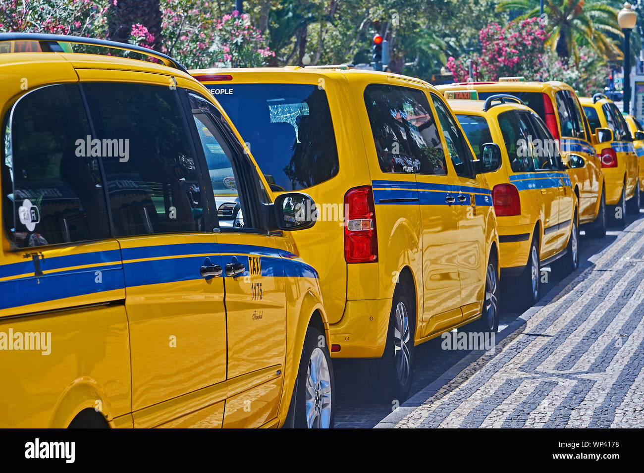 Funchal iconic taxi -Fotos und -Bildmaterial in hoher Auflösung – Alamy