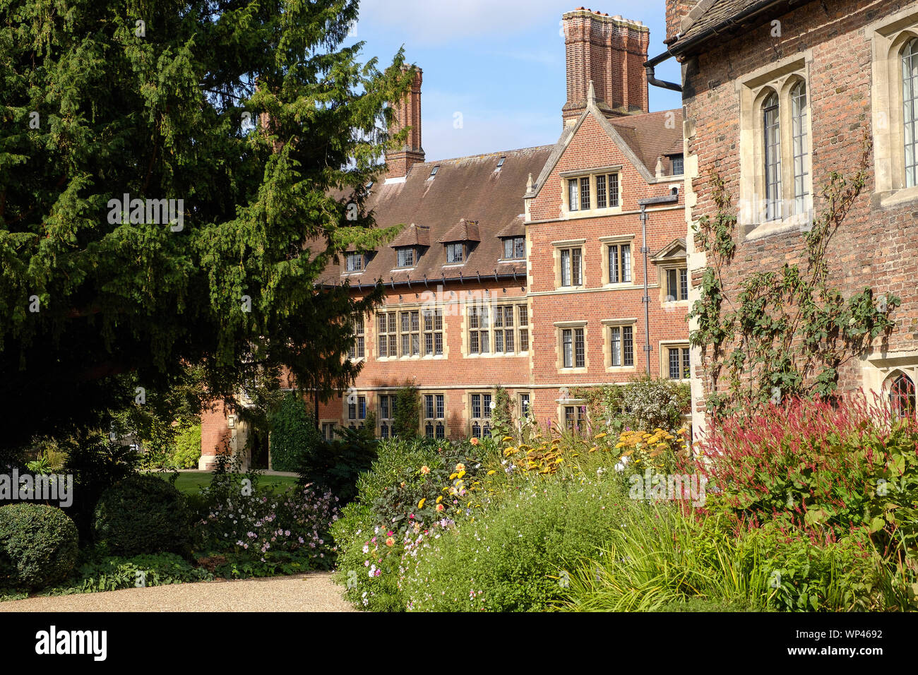 Trinity college hall -Fotos und -Bildmaterial in hoher Auflösung – Alamy
