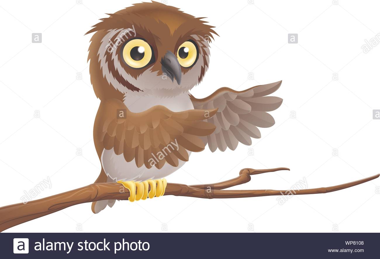 Cartoon Eule Stockfotos und -bilder Kaufen - Alamy