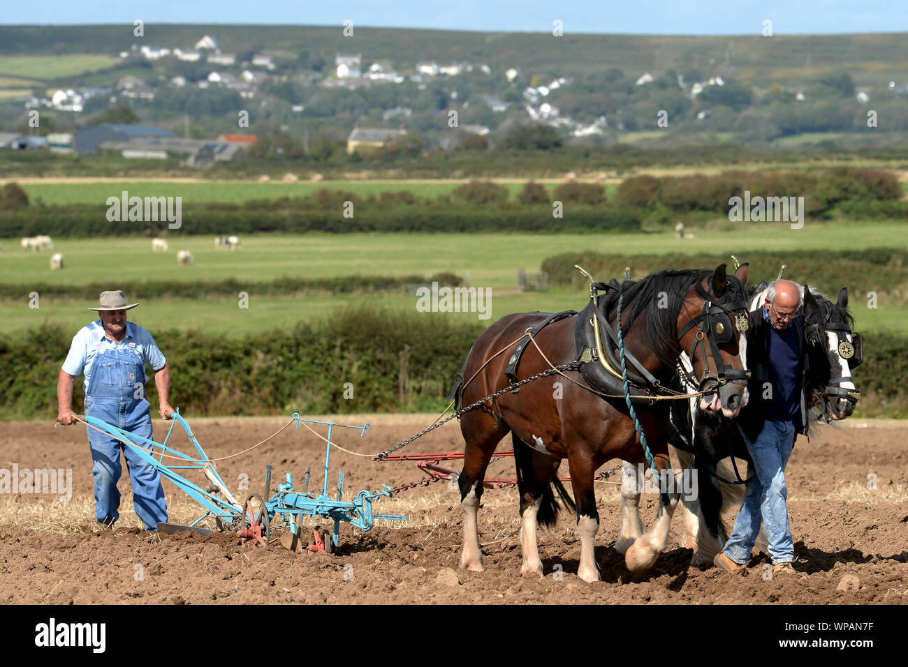 Pferdepflug Team Stockfotos und -bilder Kaufen - Alamy