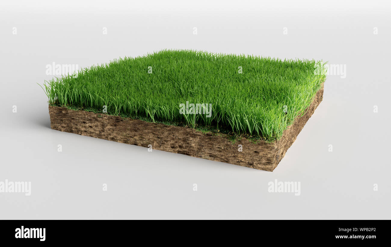 Cross Section Green Grass Underground Stockfotos und -bilder Kaufen - Alamy