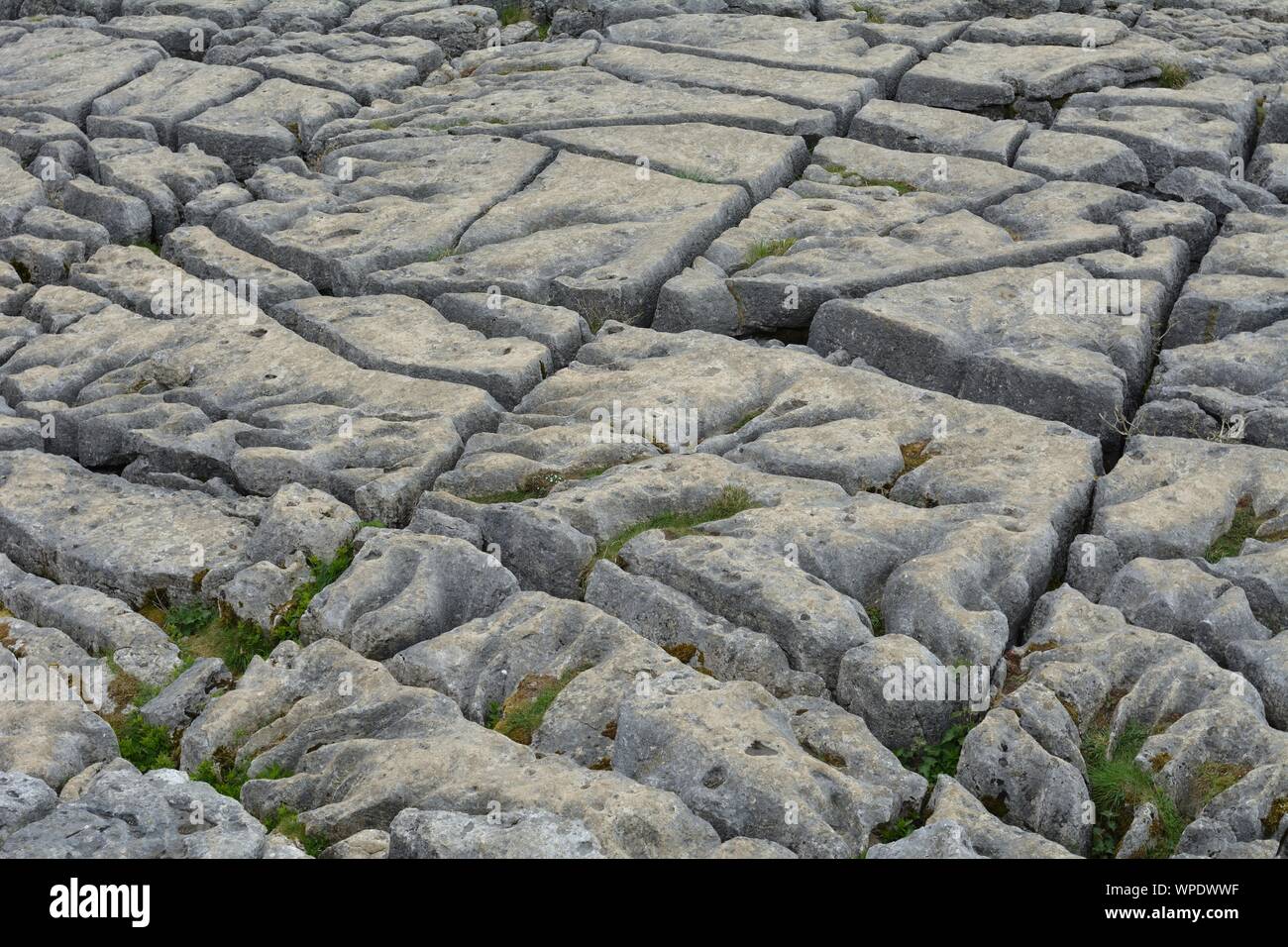 Pflastersteine aus kalkstein -Fotos und -Bildmaterial in hoher ...
