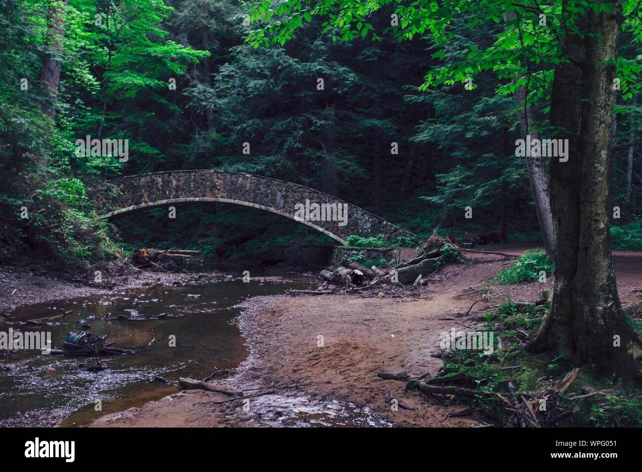 Ein fluss im wald -Fotos und -Bildmaterial in hoher Auflösung – Alamy