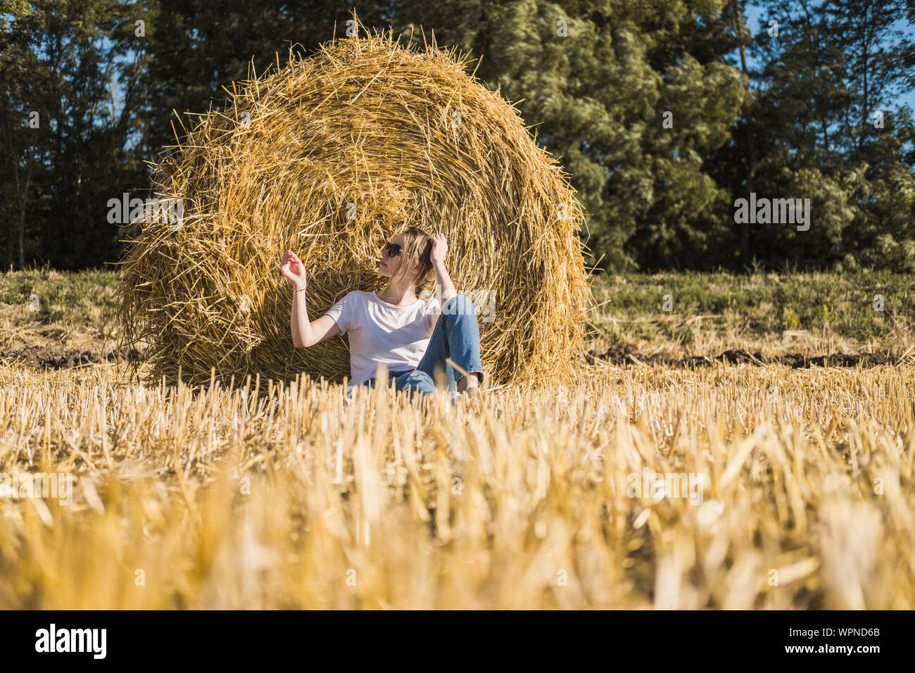 Heuhaufen auf einem feld -Fotos und -Bildmaterial in hoher Auflösung – Alamy