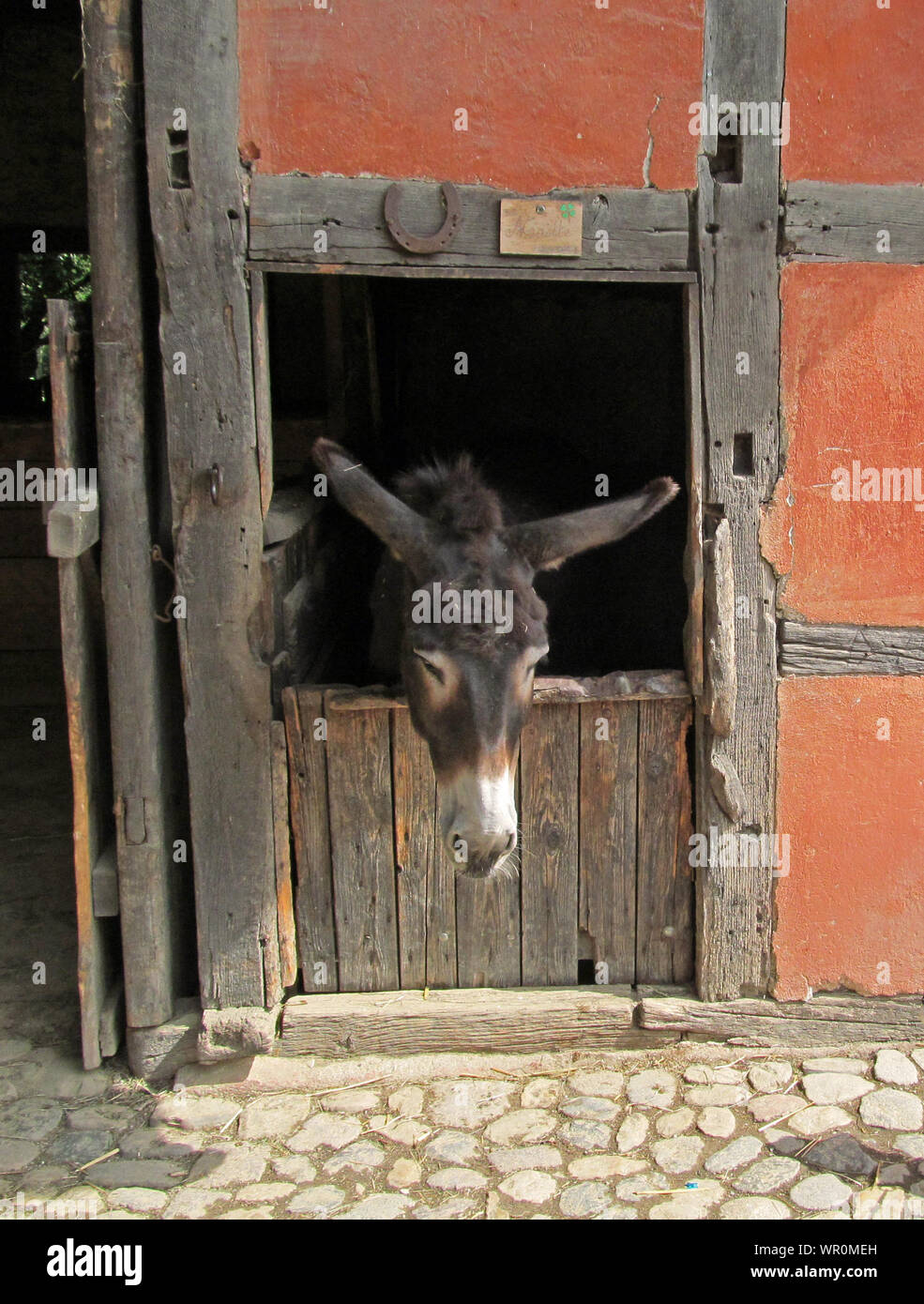 Donkey stable -Fotos und -Bildmaterial in hoher Auflösung – Alamy