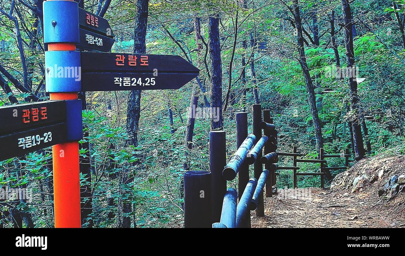 Zeichen im wald -Fotos und -Bildmaterial in hoher Auflösung – Alamy