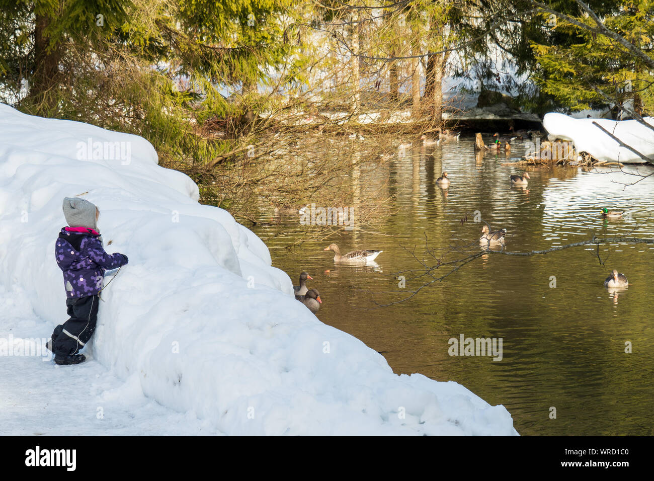 Verwall alm -Fotos und -Bildmaterial in hoher Auflösung – Alamy