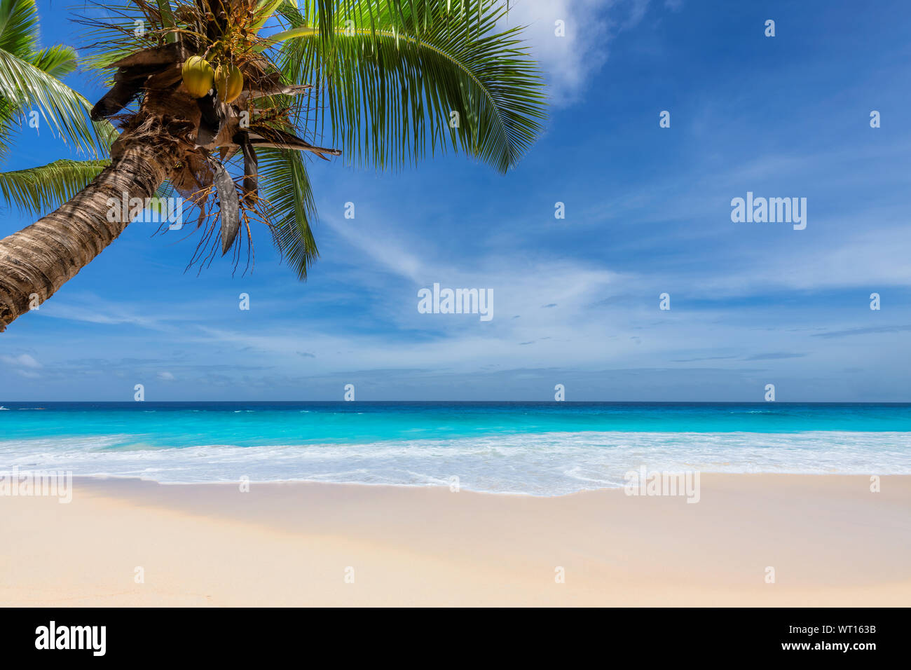 Meer karibik -Fotos und -Bildmaterial in hoher Auflösung – Alamy