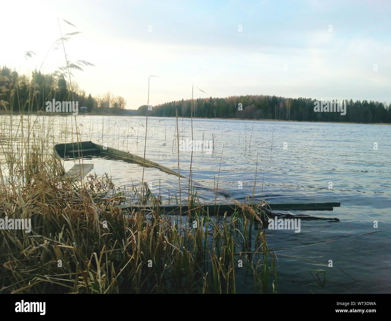 Water reet -Fotos und -Bildmaterial in hoher Auflösung – Alamy