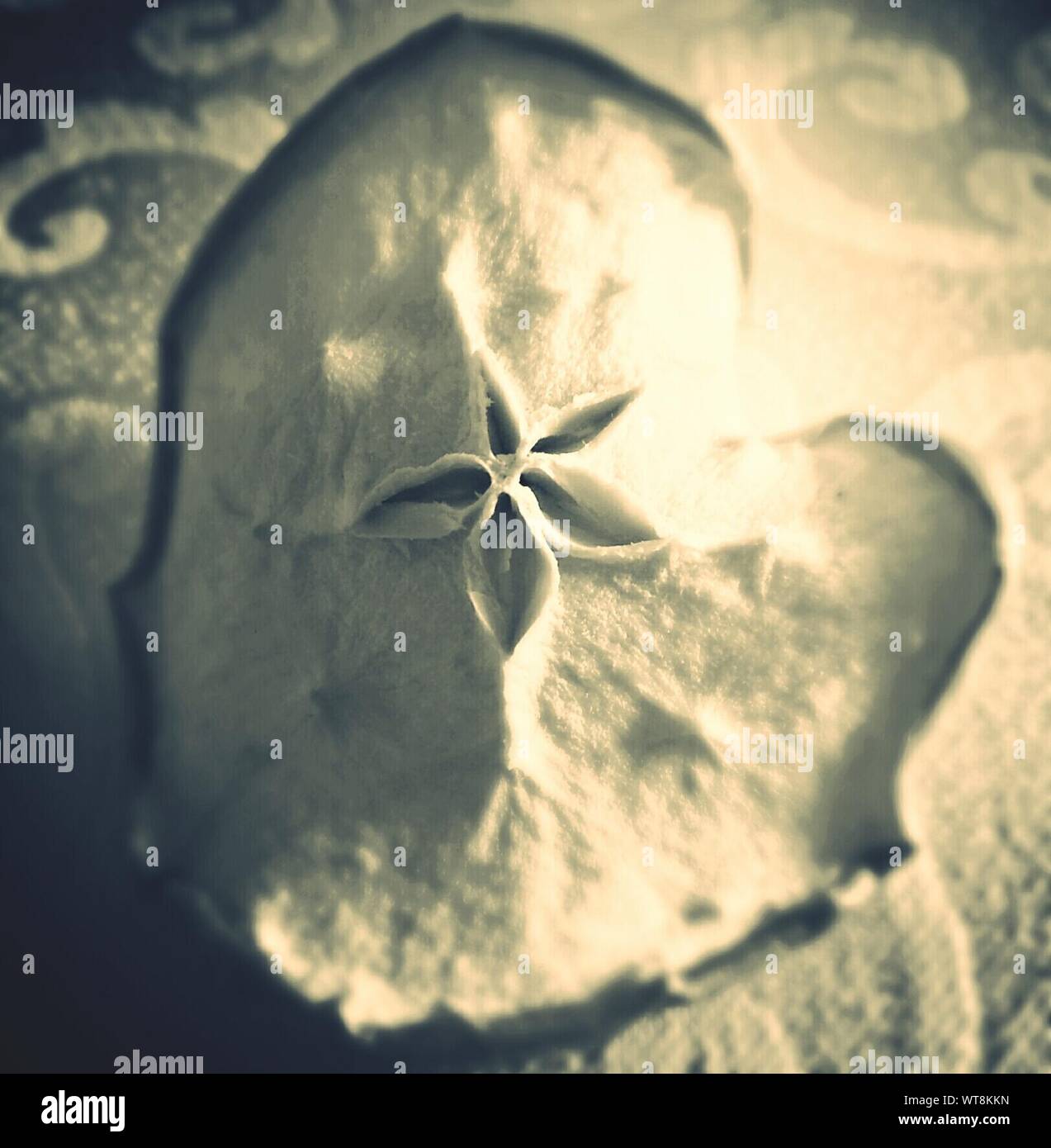 Apple halved -Fotos und -Bildmaterial in hoher Auflösung – Alamy