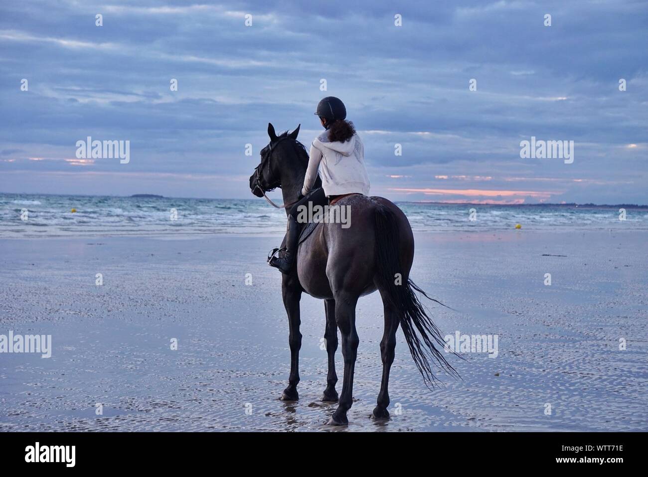 Pferderitt am strand -Fotos und -Bildmaterial in hoher Auflösung – Alamy