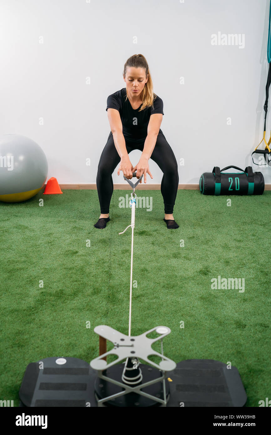 Mus musculus mauer -Fotos und -Bildmaterial in hoher Auflösung – Alamy