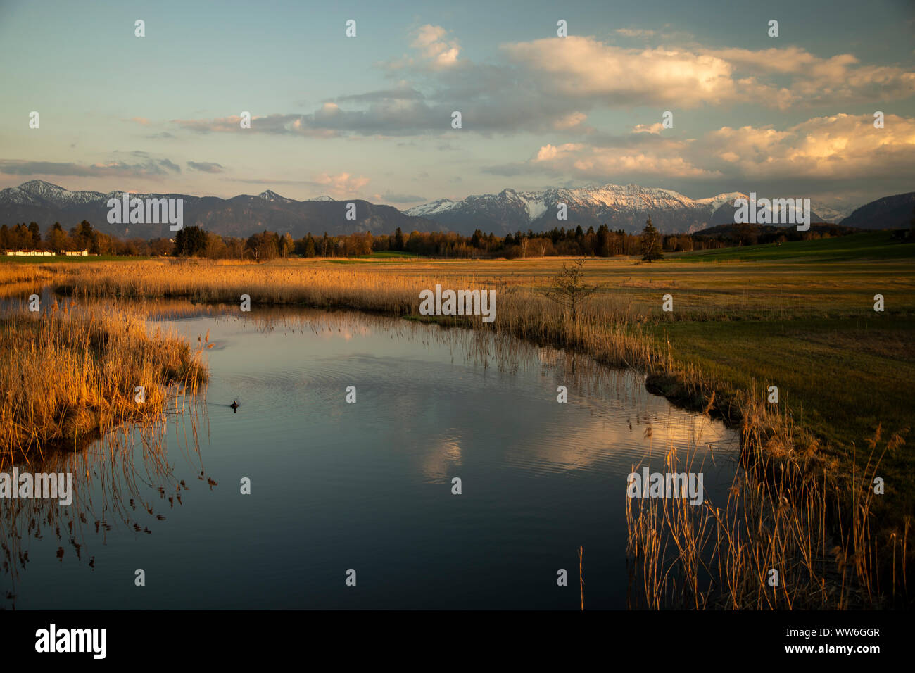 Uffing am staffelsee -Fotos und -Bildmaterial in hoher Auflösung – Alamy
