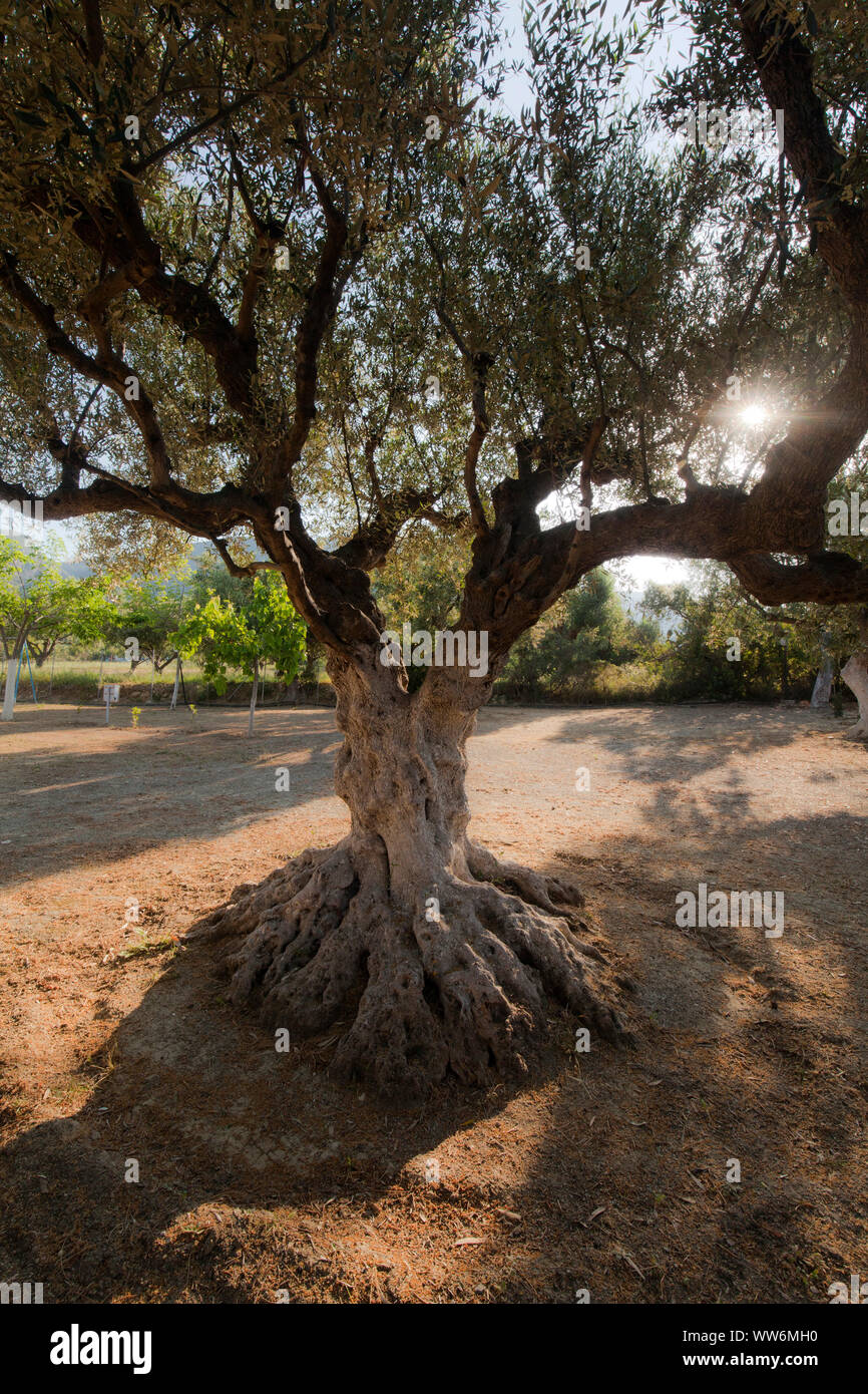 Kalk weg -Fotos und -Bildmaterial in hoher Auflösung – Alamy