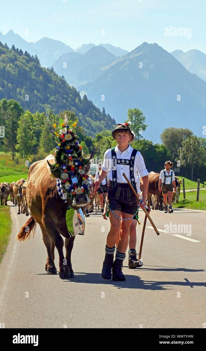 Bauern beim almabtrieb in oberstdorf -Fotos und -Bildmaterial in hoher ...