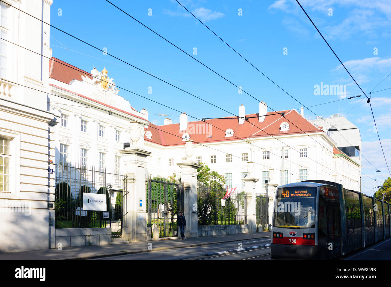 Medical museum vienna -Fotos und -Bildmaterial in hoher Auflösung – Alamy