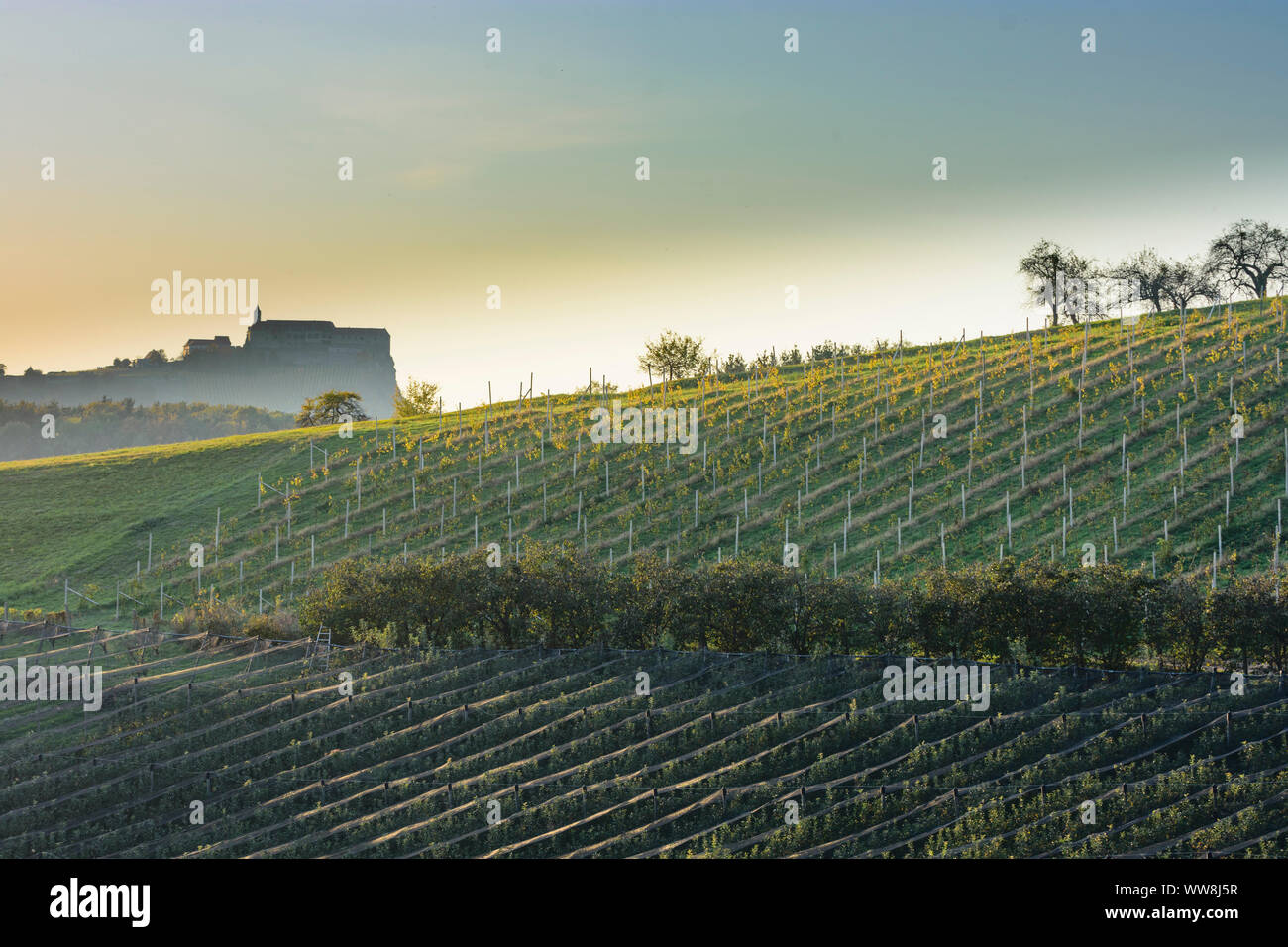 Schloss riegersburg -Fotos und -Bildmaterial in hoher Auflösung – Alamy