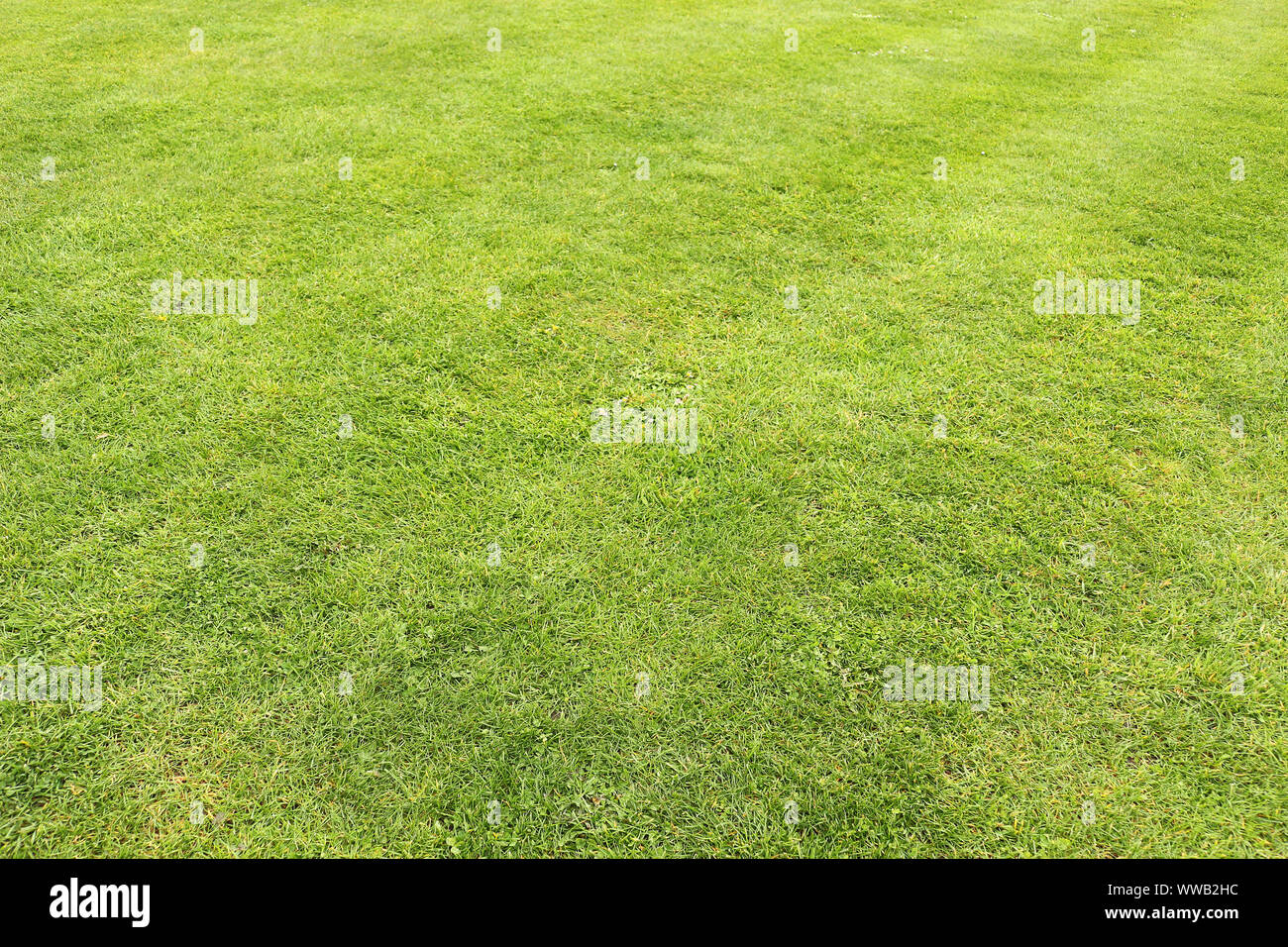 Kurzer Rasen Stockfotos und -bilder Kaufen - Alamy