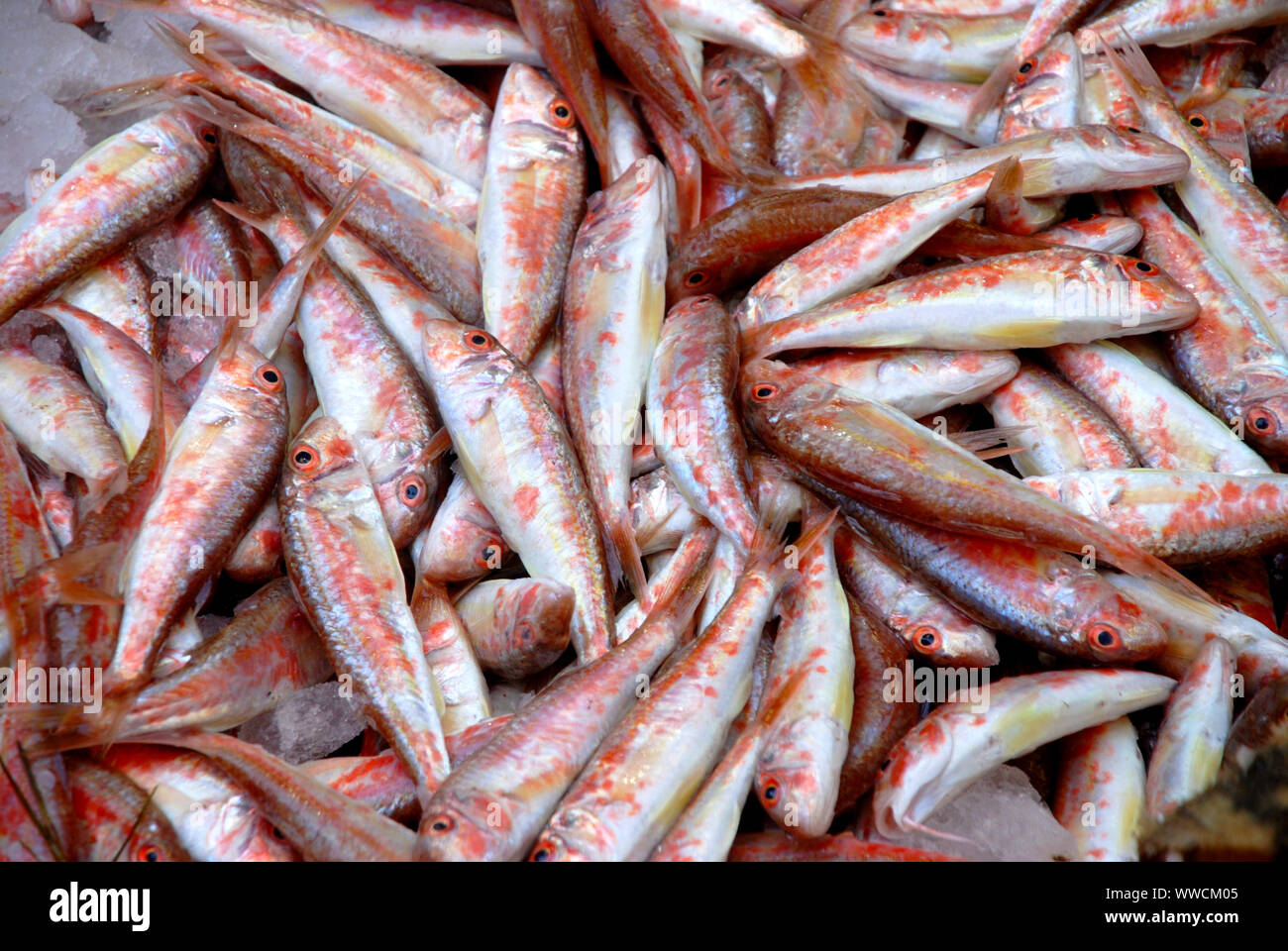 Balik pazari -Fotos und -Bildmaterial in hoher Auflösung – Alamy