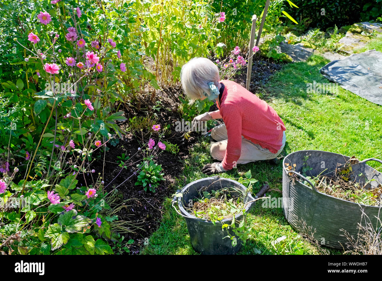 Frau garten trug -Fotos und -Bildmaterial in hoher Auflösung – Alamy