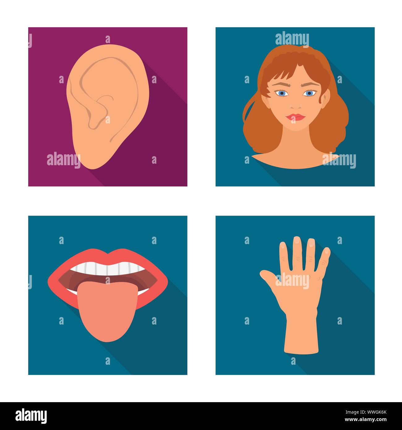 Isoliertes Objekt von Körper und Symbol. Sammlung von Körper und ...