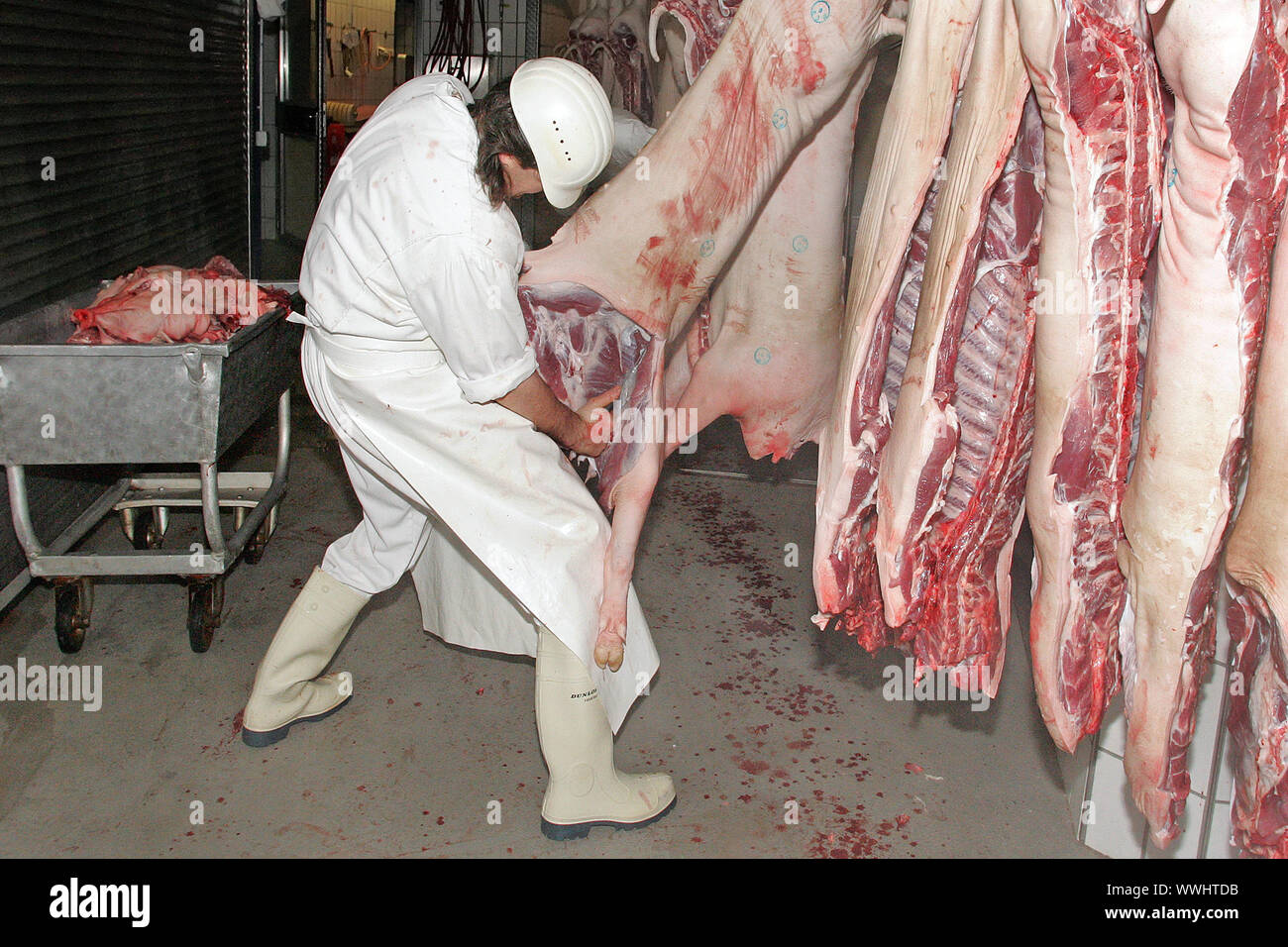 Schlachterin beim schlachten -Fotos und -Bildmaterial in hoher ...