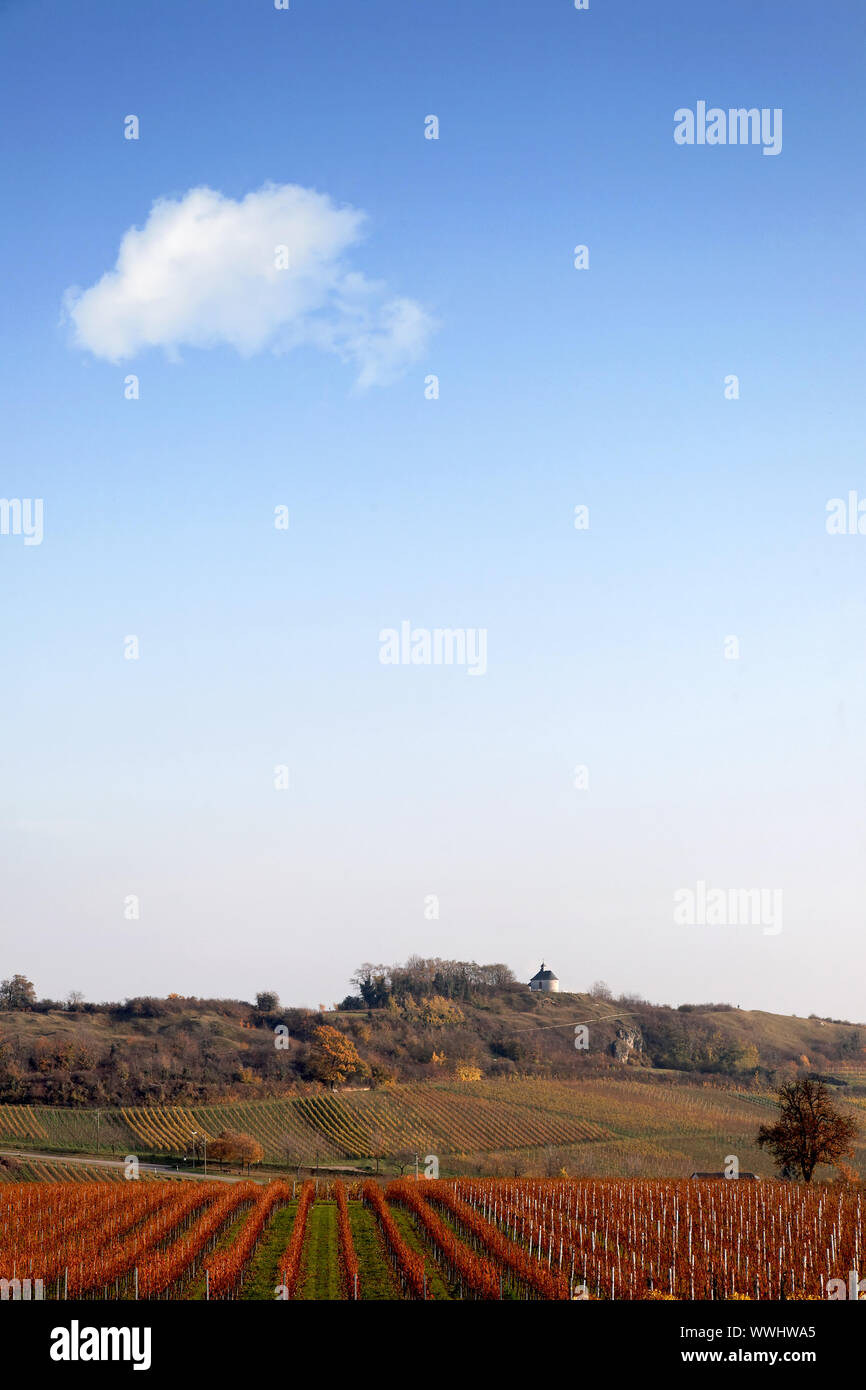 Kalmit ilbesheim -Fotos und -Bildmaterial in hoher Auflösung – Alamy