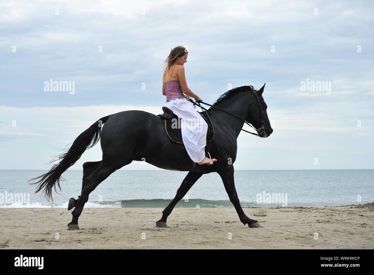 Frau mit weißem pferd strand galopp -Fotos und -Bildmaterial in hoher Auflösung – Alamy