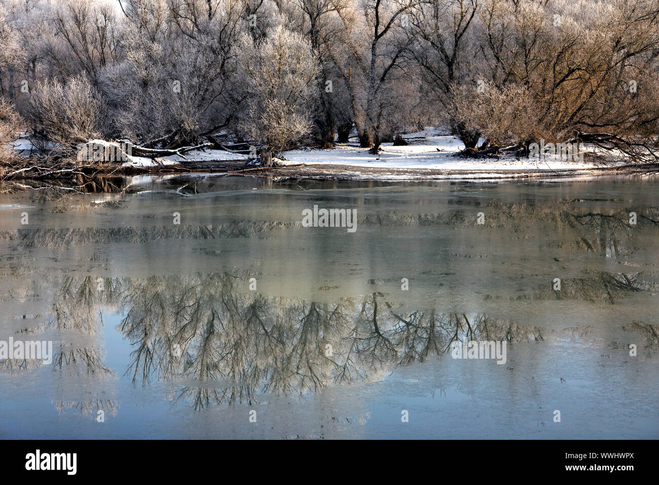 Rhein im winter -Fotos und -Bildmaterial in hoher Auflösung – Alamy
